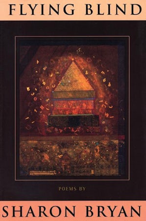 Flying Blind | Ingram Academic